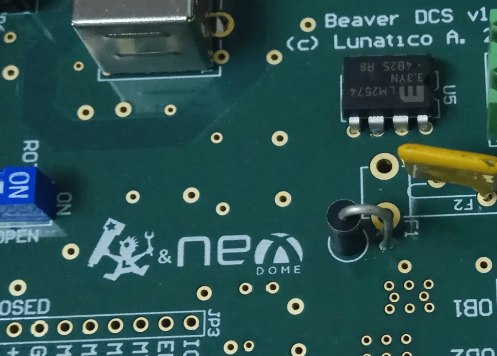 Beaver
